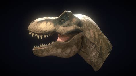 Tyrannosaurus Rex Head Reconstruction