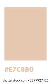 Color Palette Background Color Hex Color Stock Vector Royalty Free Shutterstock