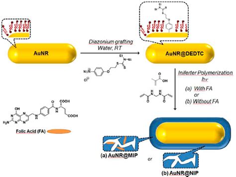Schematic Illustration Of The Surface Modification Strategy For Coating