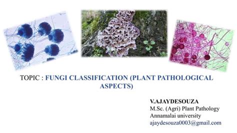 Fungi Classification Plant Pathologypptx