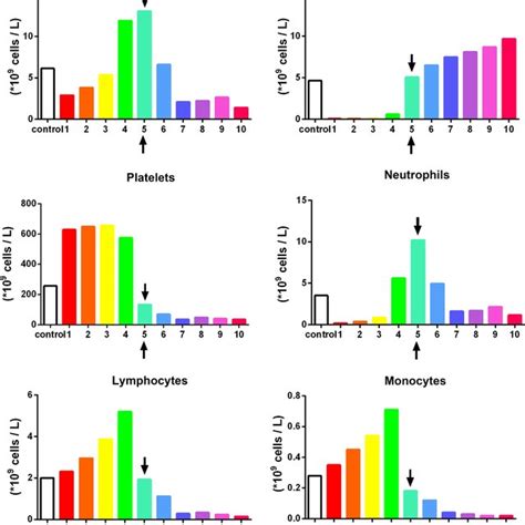 The Concentration Of Cell Types In Each Layer From 1 Ml Down To The