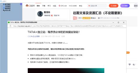 【vbnet自学】实战第11课：利用webview2内嵌网页调用webview2打开网页 Csdn博客