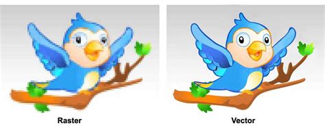 Clipping Images 24 Clipping Path Graphics And Web Design