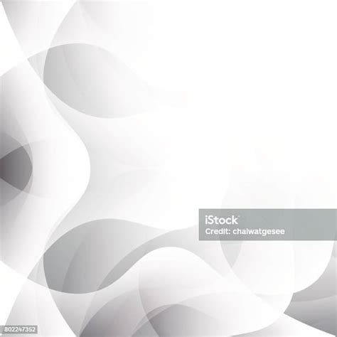 추상적인 기하학적 흰색과 회색 색상 부드러운 라인 배경 벡터 일러스트 레이 션 0명에 대한 스톡 벡터 아트 및 기타 이미지 0명 곡선 기하 도형 Istock