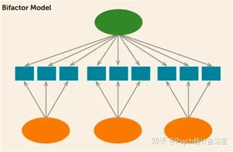 双因子模型 bi factor model 的简介及文章介绍 知乎