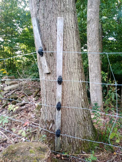Tree Trunk Fence How To Brace A Fence Against The Wind Viking Fence