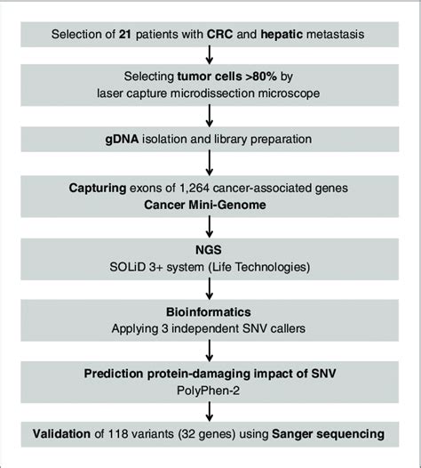 Schematic Representation Of The Ngs Based Cancer Minigenome Variation Download Scientific