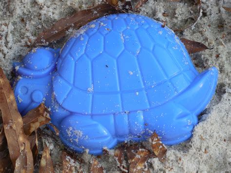 무료 이미지 집 밖의 화이트 차 경기 놀이 플라스틱 트럭 자연스러운 푸른 터틀 바다 거북 비열한 노랑 여가 어린 시절 버킷 활동 선명한