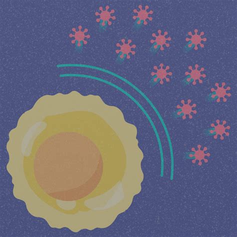 Immunobiology Salk Institute For Biological Studies