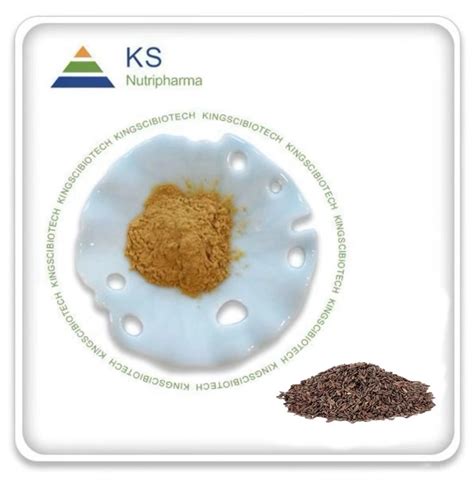 Great Burdock Achene Extract Kingsci