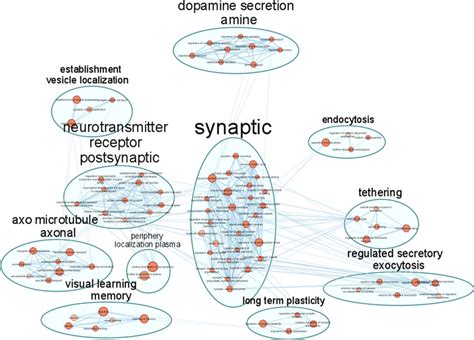 Region Of The Network Representing Enriched Pathways Grouped By