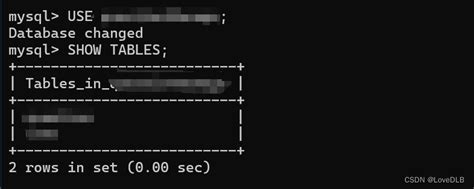 如何导入外部项目（springboot vue mysql）保姆级傻瓜教程 idea导入vue项目 csdn博客