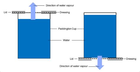 Left Test Method En 13726 22002 Section 32 Paddington Cup In The Download Scientific