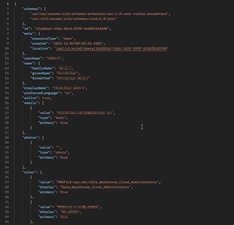 Comprehensive Overview Scim Api For Sap Datasphere User Management Zpartner Gmbh