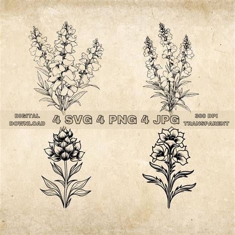 Larkspur Svg Bundle Png Floral Clipart Hand Drawn Flowers Graphic