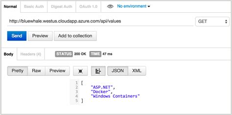Walkthrough Running An Owin Self Hosted Web Api In A Windows Docker