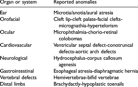 Characteristics Of MMF Embryopathy Download Scientific Diagram