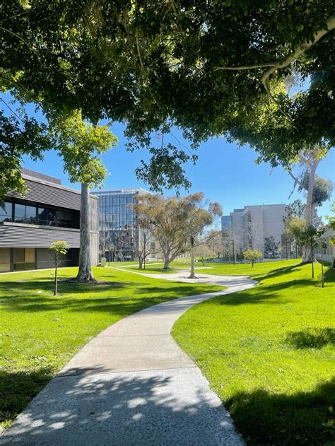 Ucsd Campus University Campus University Of California San Diego