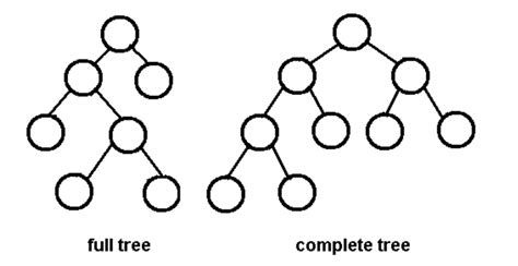 binary tree vs binary search tree vs b tree vs b tree unicminds