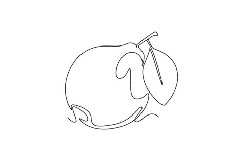 Onetime Author Portfolio Freepik