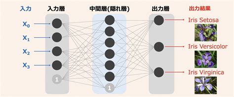 深層学習PythonPyTorchで始めるディープラーニング実践入門プログラムの書き方テンプレートの解説 DXCEL WAVE