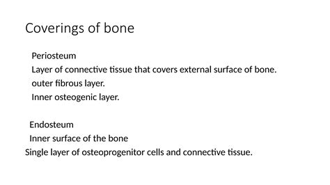 General Anatomy General Osteology Pptx