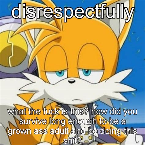 Sonic And Pal Sonic The Hedgehog Artofit