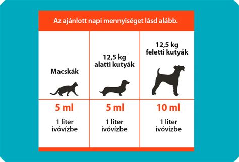 Pupex Dental And Oral Support