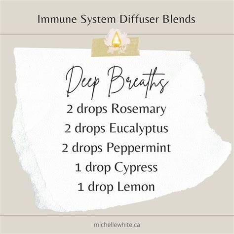 Immune Support Diffuser Blends Diffuser Blends Essential Oil Blends