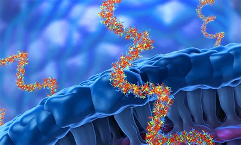 Ptm Analysis Applications Quantum Si