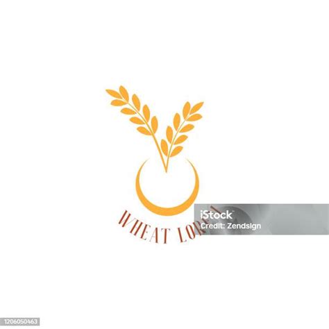 밀 또는 보리 귀 수확 밀 곡물 성장 쌀 줄기 와 전체 빵 곡물 또는 필드 시리얼 영양 호밀 곡물 농산물 귀 기호 월계수 벡터