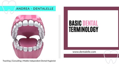 Basic Dental Terminology