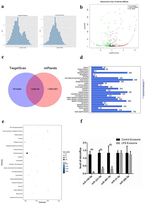 Rna Sequencing Identified The Mirnas Enriched In Microglia Derived