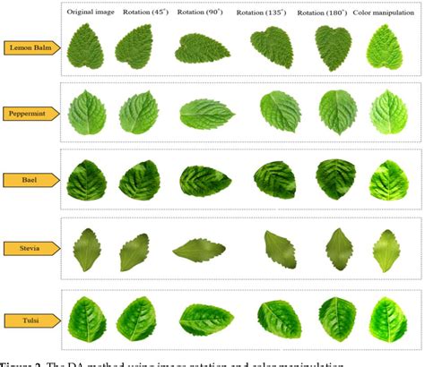 Figure 2 From An Ai Based Approach For Medicinal Plant Identification Using Deep Cnn Based On