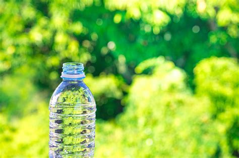 하늘과 나무 흐린 배경에 플라스틱 만든 병 물 벽지를 사용 하 여 패키지 또는 이미지 및 복사 공간을 새로 고침 제품 0명에 대한 스톡 사진 및 기타 이미지 Istock