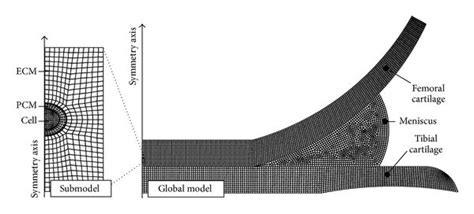 Multiscale Modeling Allows For Simulation Of Macroscale Effects On