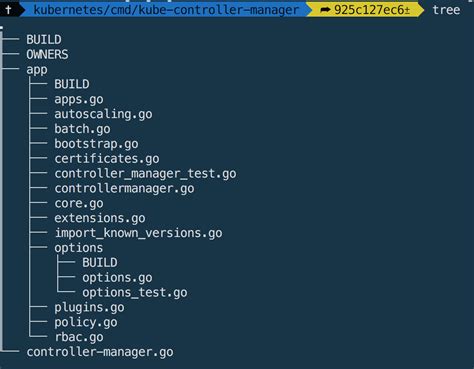 Kube Controller Manaer解析之启动流程 xigang s home