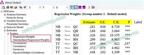 Path Coefficient Beta Se T Value P Value Trong Kết Quả Amos