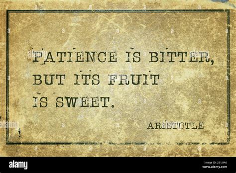 Patience Is Bitter But Its Fruit Is Sweet Ancient Greek Philosopher