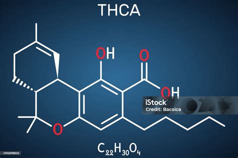 테트라 하이드로 칸 나비 놀산 Thca 테트라 하이드로 칸 나비 놀 레이트 분자 테트라 하이드로 칸 나비 놀 Thc의 전구체 활성 성분 대마초 구조 화학식 진한 파란색 배경