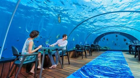 5 8 Undersea Restaurant Maldives Underwater Restaurant