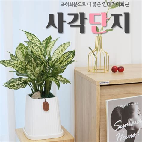 사각단지화분 인테리어화분 하우숩