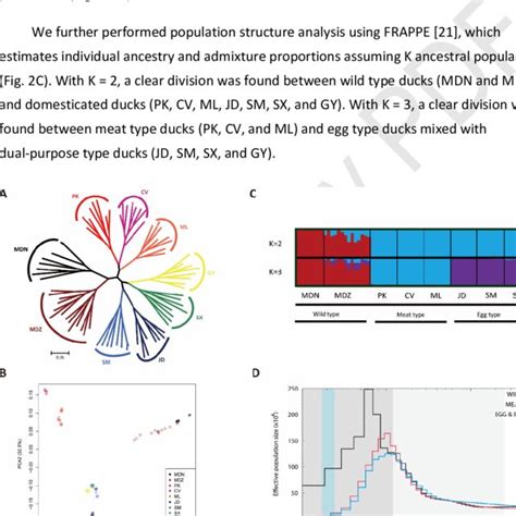 Pdf Whole Genome Resequencing Reveals Signatures Of Selection And Timing Of Duck Domestication