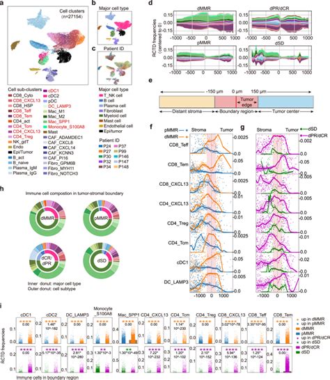 Dmmr And Pmmr Tumor Stroma Boundaries Display Distinguished Cellular