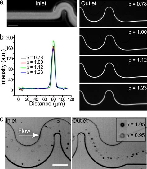 Density Independence Of Inertial Focusing A Polystyrene Particles