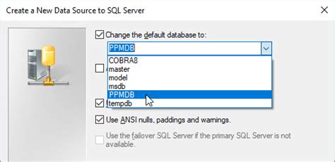 Deltek Cobra Integration With Primavera P6 How To Guide