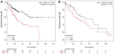 Prognostic Value Of Mirna 760 Expression In Patients With Hcc Of Download Scientific Diagram