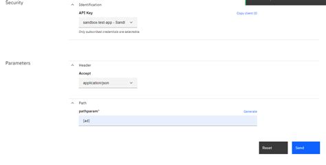 Query And Path Parameters In IBM API Connect