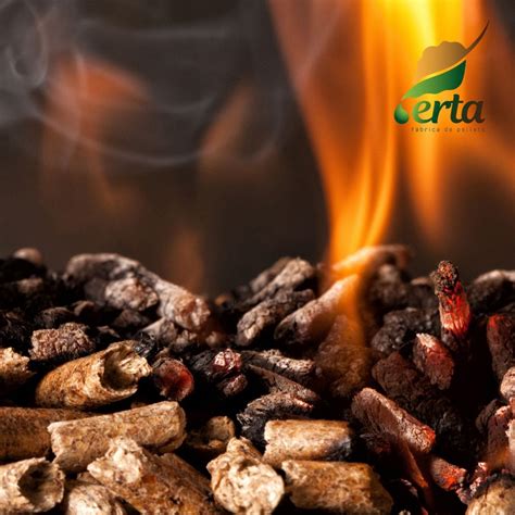 Are Bb Pellets Toxic At James Daulton Blog