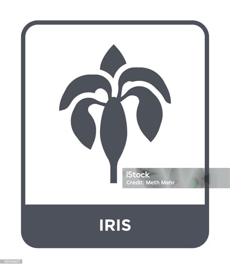 흰색 바탕에 홍 채 아이콘 벡터 아이리스 유행 가득 자연 컬렉션에서 아이콘 건강관리와 의술에 대한 스톡 벡터 아트 및 기타 이미지 건강관리와 의술 꽃 식물 눈 신체